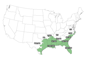 Alligator Populations: America vs China – Tidewater Teddy